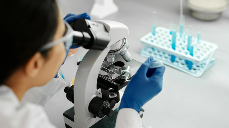 Home page - GenEvolutioN